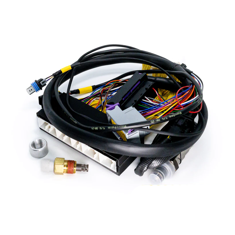 EMU 01 Lexus IS300 & 98 - 01 GS300 PNP Harness | Powerhouse Racing